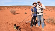 Watch Aussie Gold Hunters live or on-demand | Freeview Australia