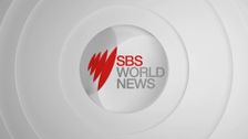 Watch SBS World News live or on-demand | Freeview Australia