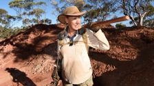 Watch Aussie Gold Hunters live or on-demand | Freeview Australia
