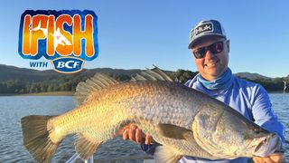 Watch IFISH live or on-demand | Freeview Australia