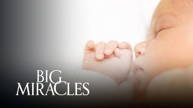 Watch Big Miracles live or on-demand | Freeview Australia